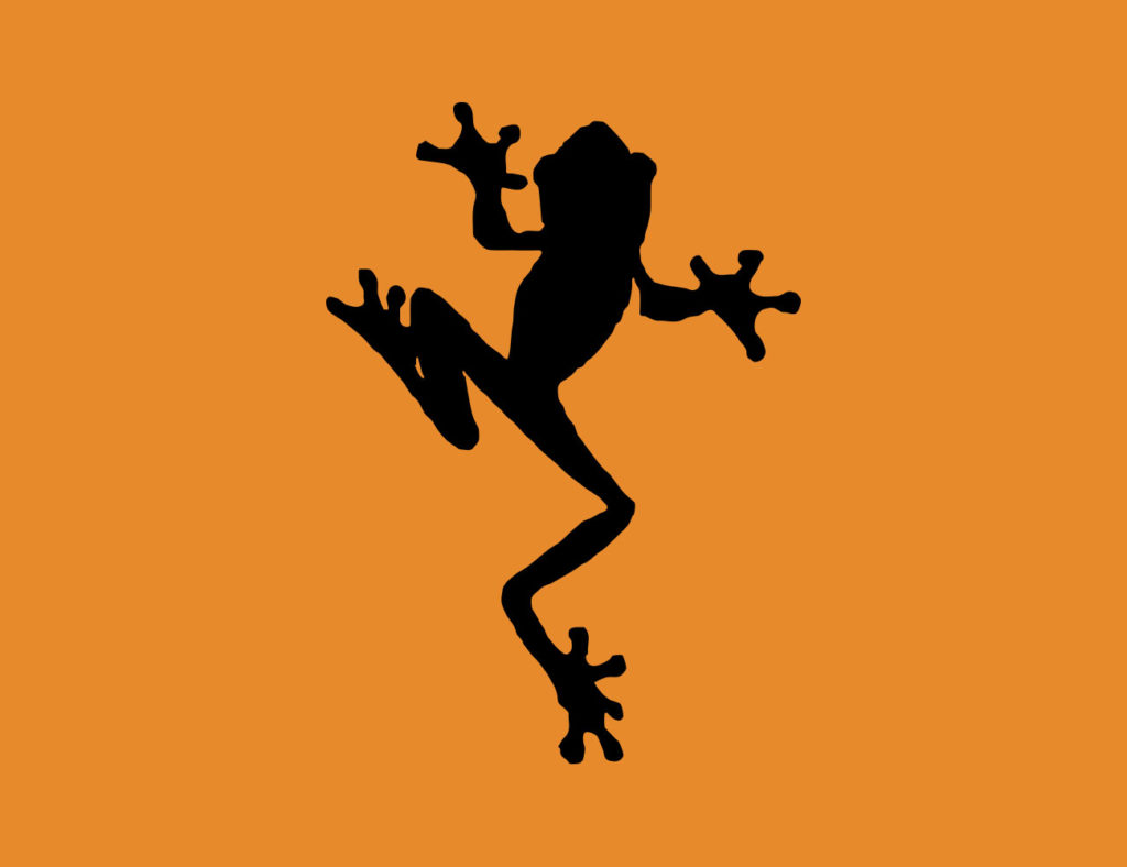 75 Frog Jokes That'll Make You Leap With Laughter